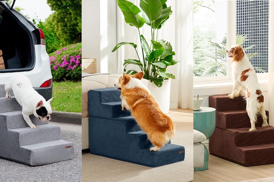 The Best Pet Stairs for Your Furry Companion | The Pet Institute